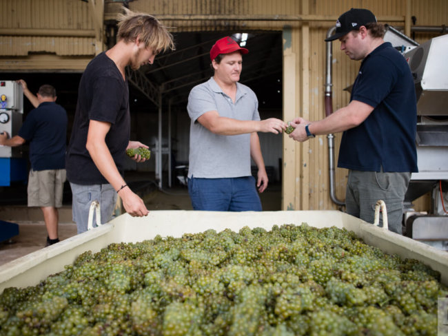 James & Jessica Audas - Young Gun of Wine