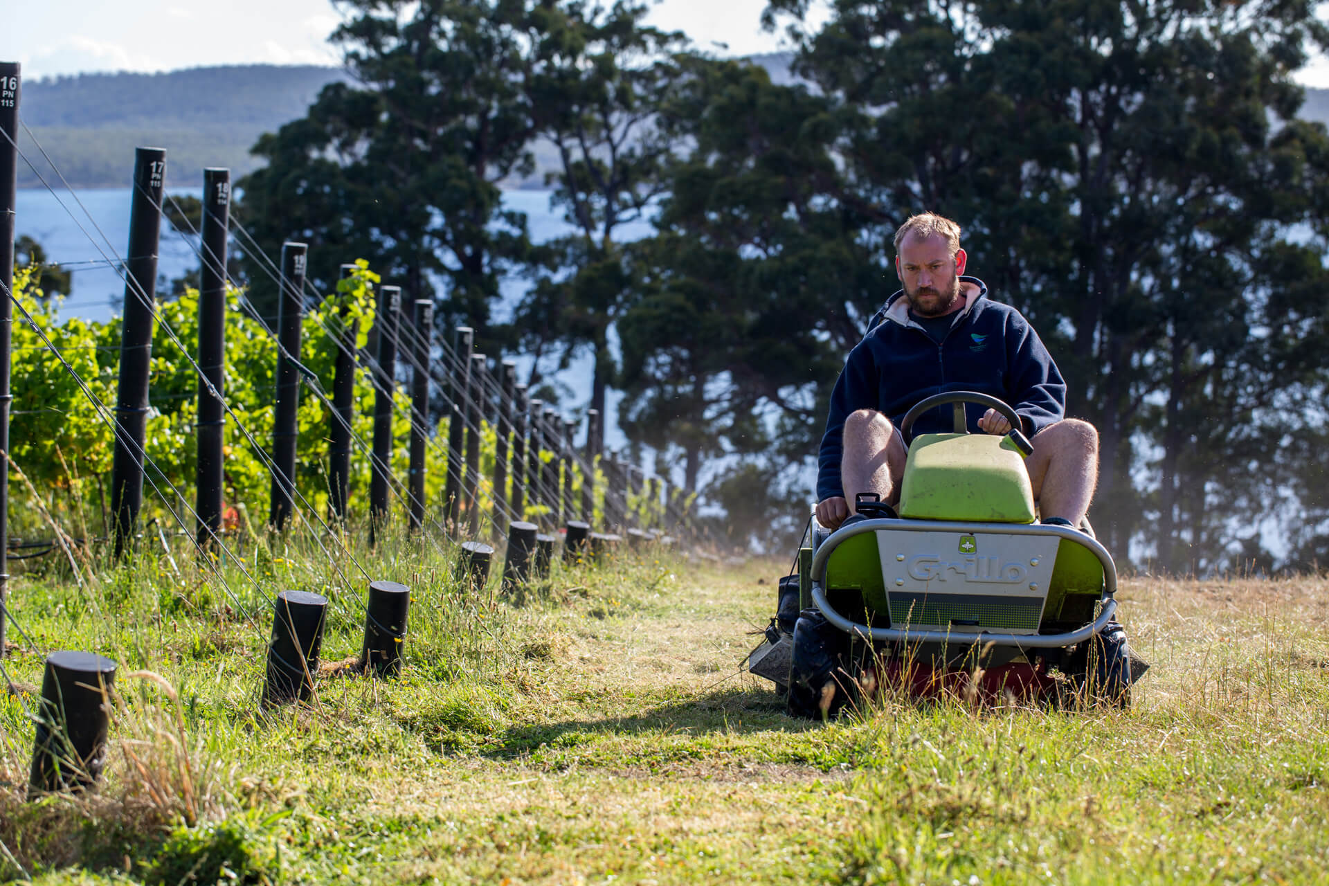 Mewstone winemaker profile: Jonathan Hughes – Young Gun of Wine