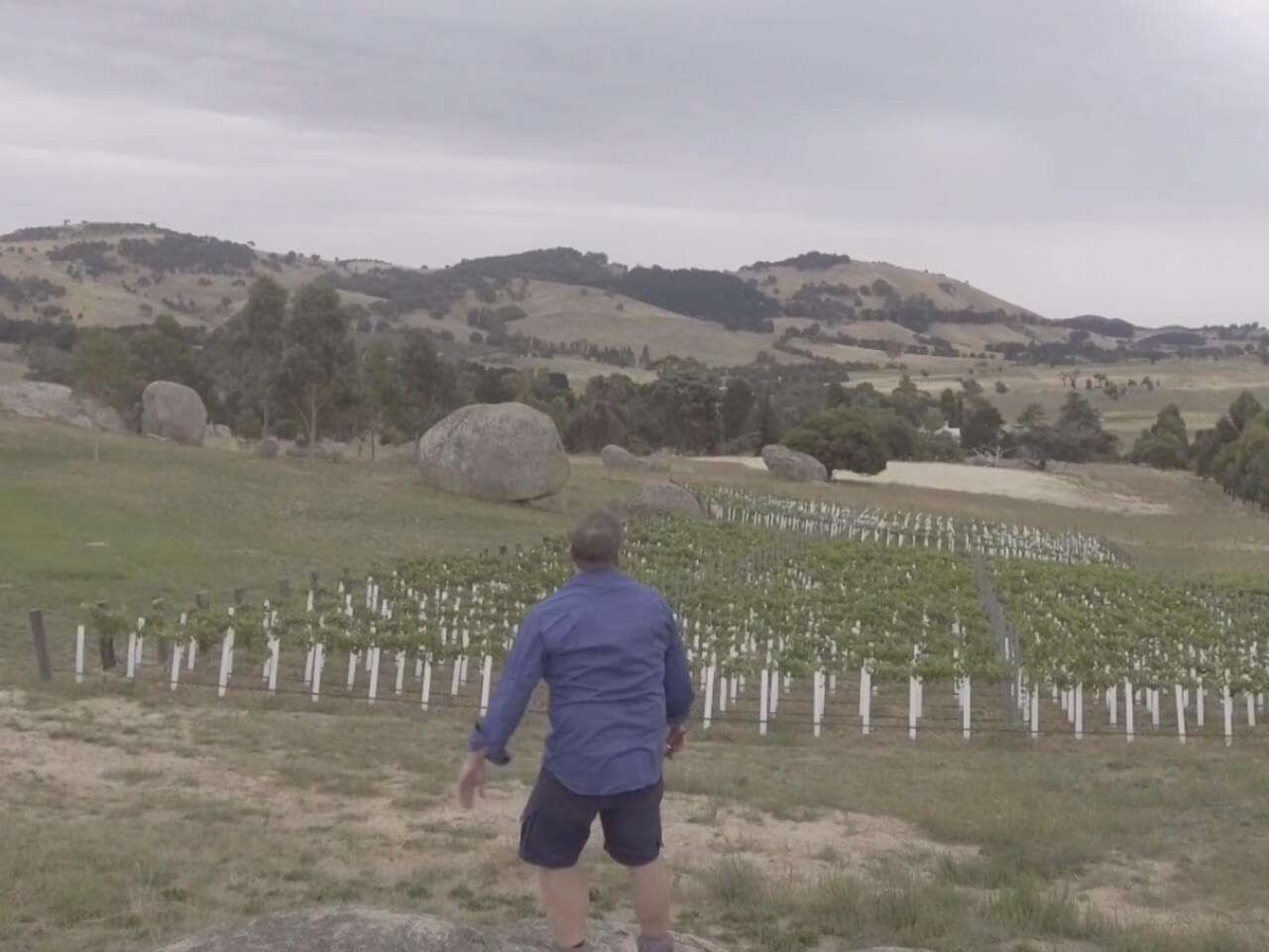 For the Love of Wine: Adam Foster of Syrahmi - Young Gun of Wine