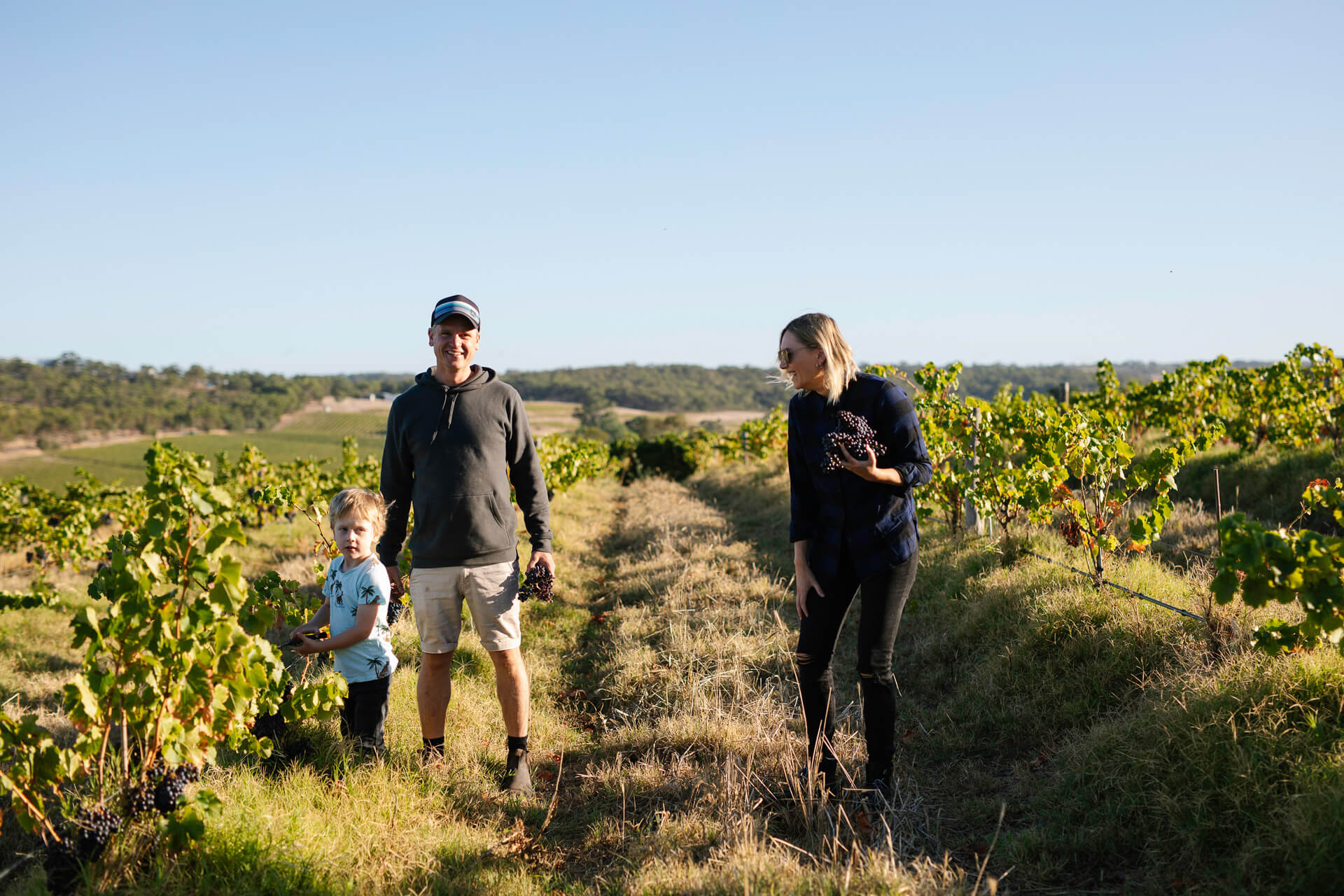 The 6 Best McLaren Vale Wineries Featured in the 2020 YGOW Top 50 ...