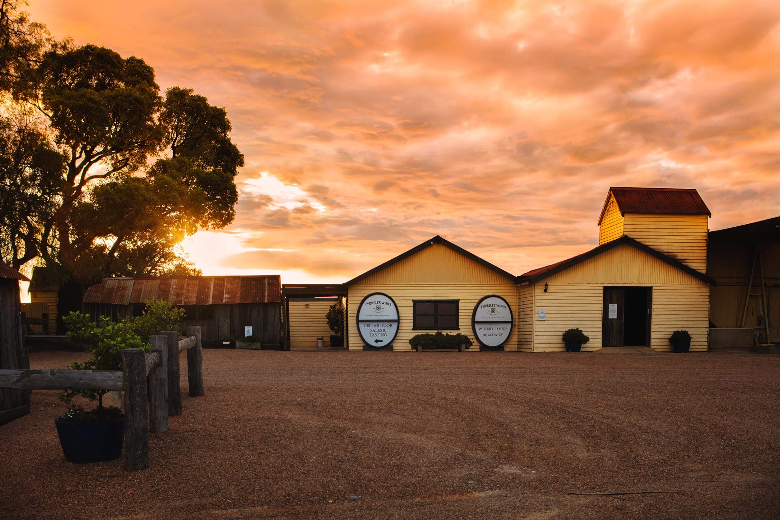 Hunter Valley Iconic Wineries - Young Gun of Wine