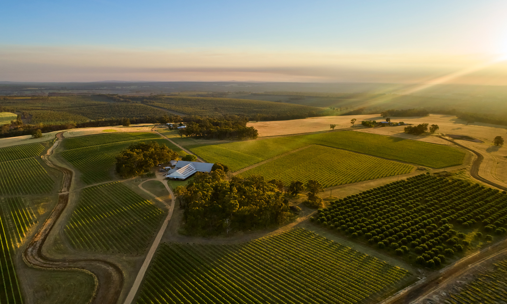 Frankland Estate – Isolation Ridge, Frankland River - Young Gun of Wine