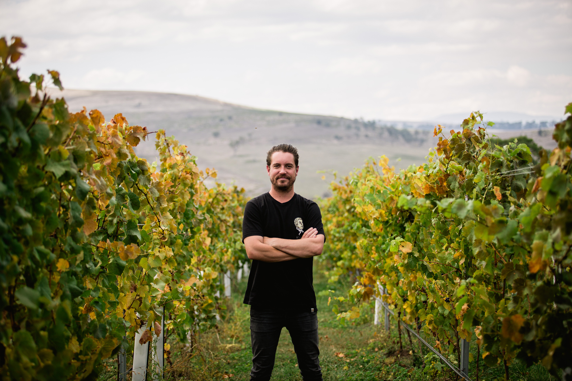 Luke Monks - Young Gun of Wine