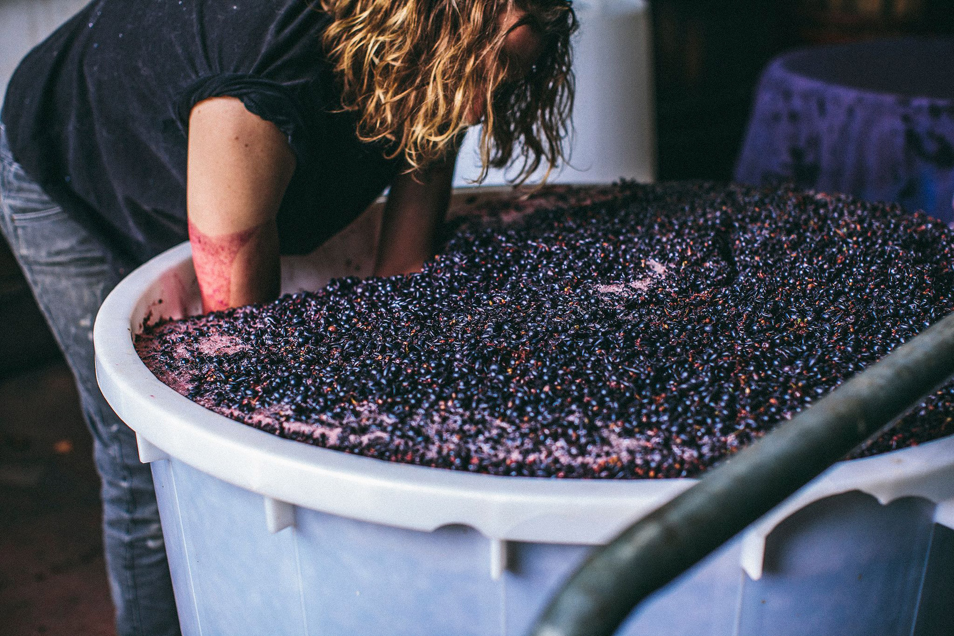 Matt Purbrick - Young Gun of Wine