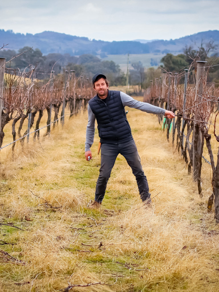 Top Winemakers - Young Gun of Wine