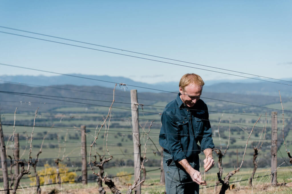 Top Vineyards - Young Gun of Wine