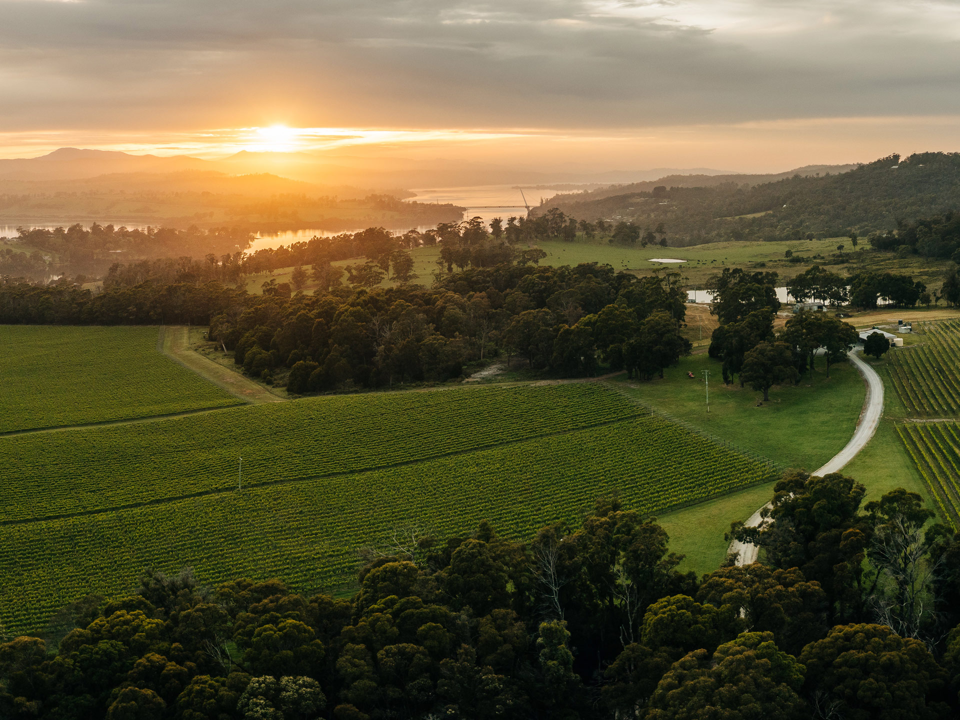 Small Wonder Vineyard, Tamar Valley - Young Gun of Wine