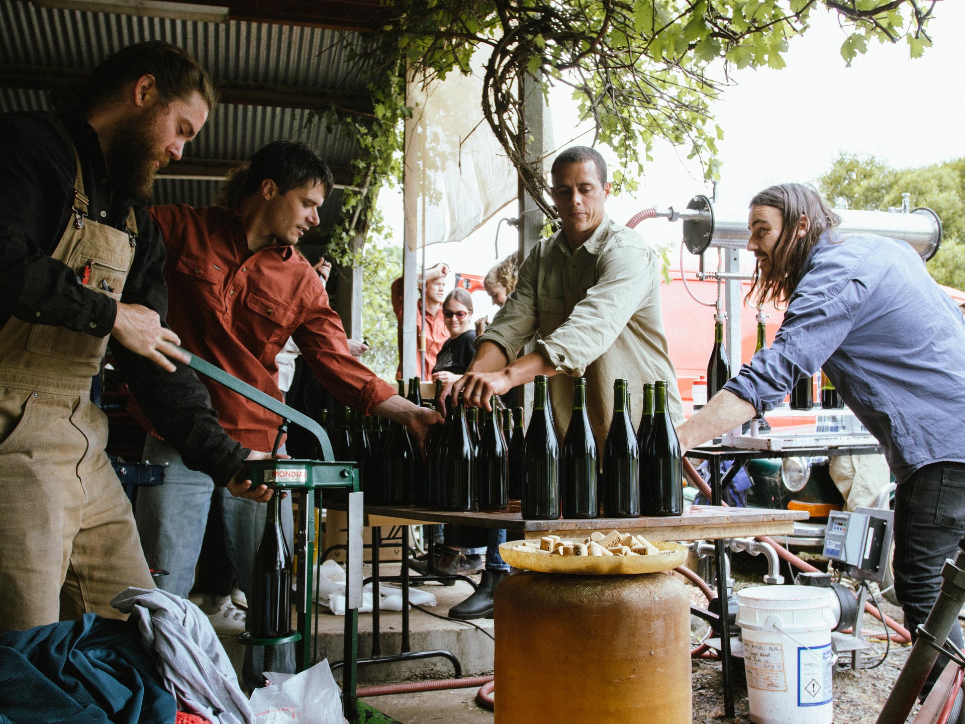 Tim Flynn, Darcy Muller, Alex Servinis & Ed Curnow - Young Gun of Wine
