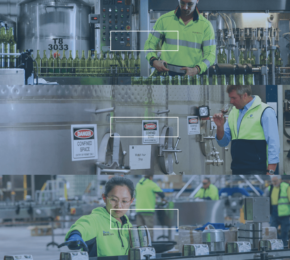 Sanector - Young Gun of Wine