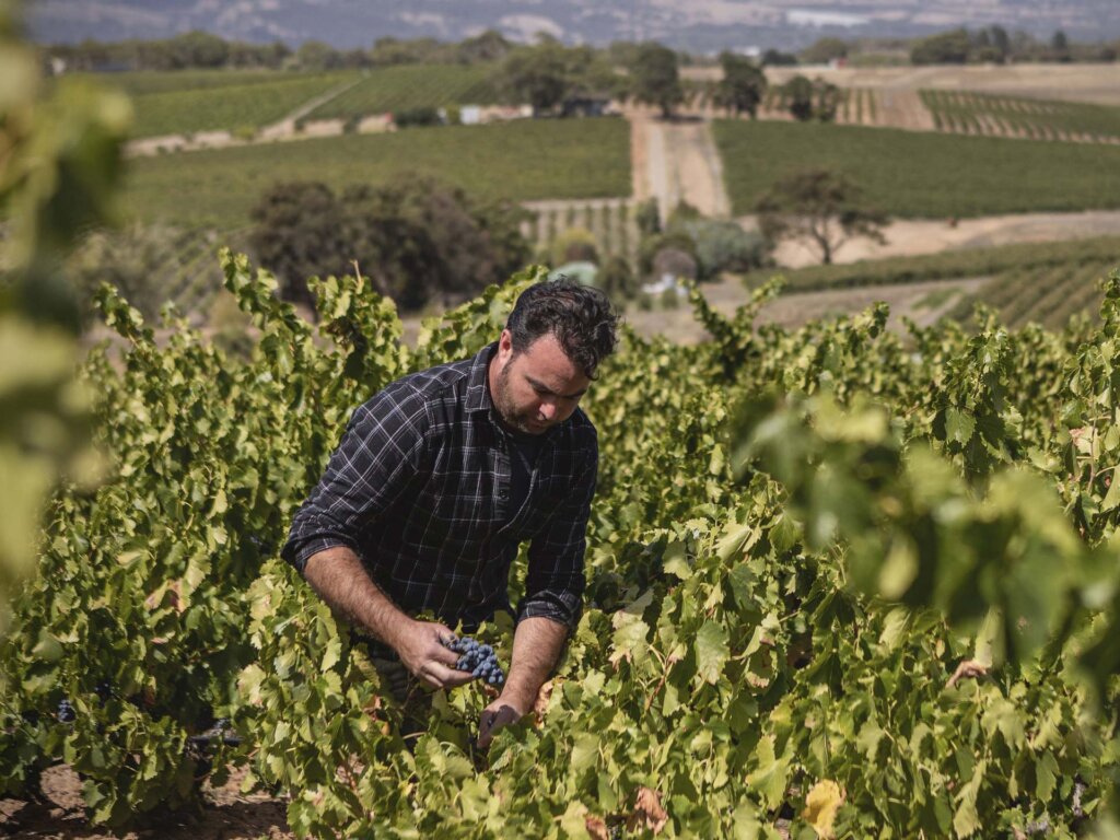 2023 Winemaker Awards - Young Gun of Wine