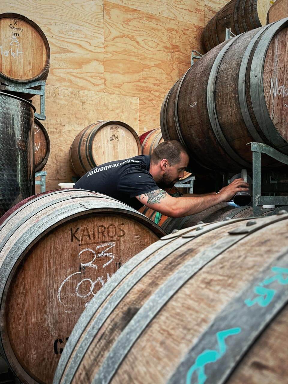 Matt Talbot - Young Gun of Wine