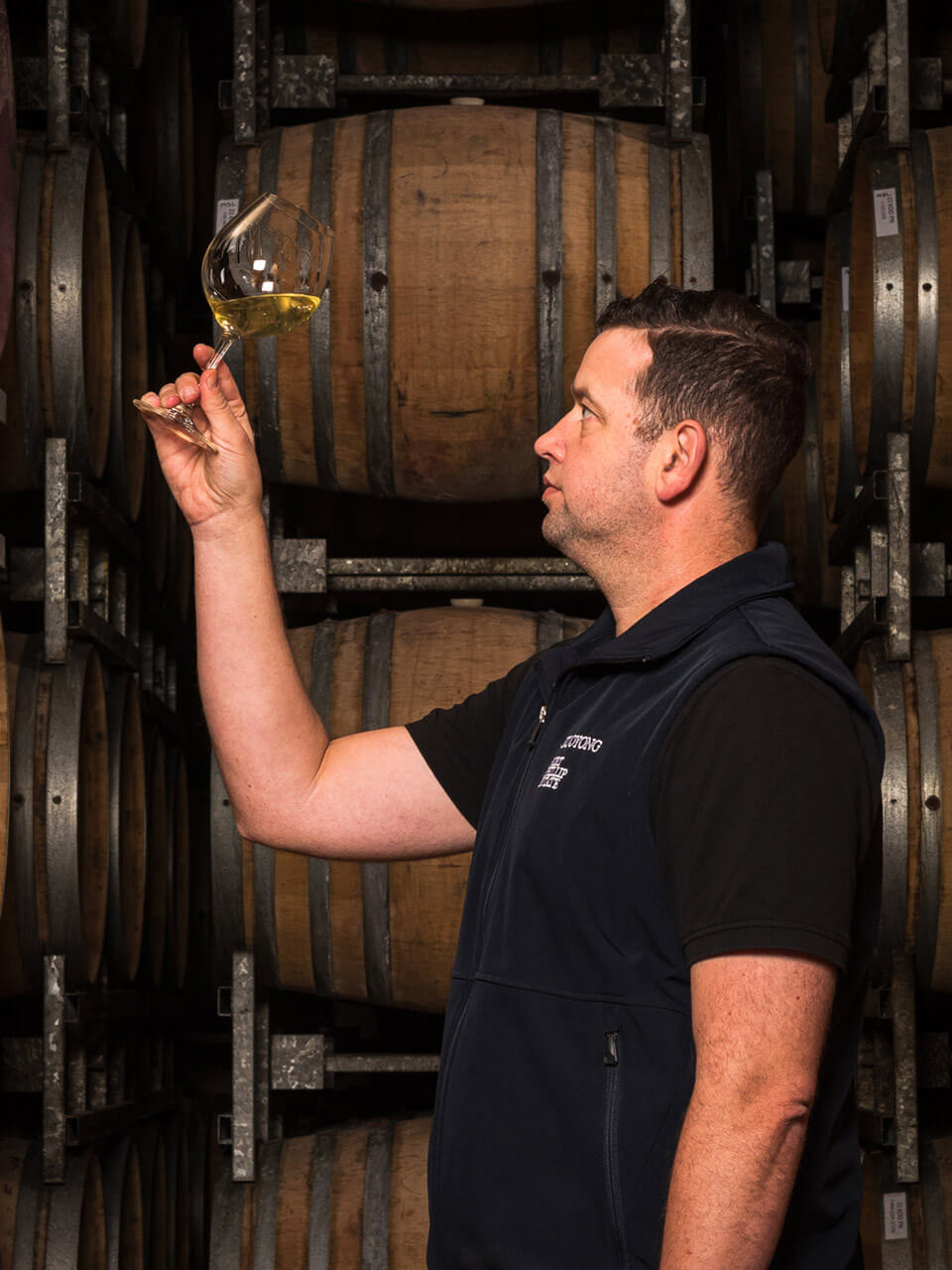 Tim Perrin - Young Gun of Wine