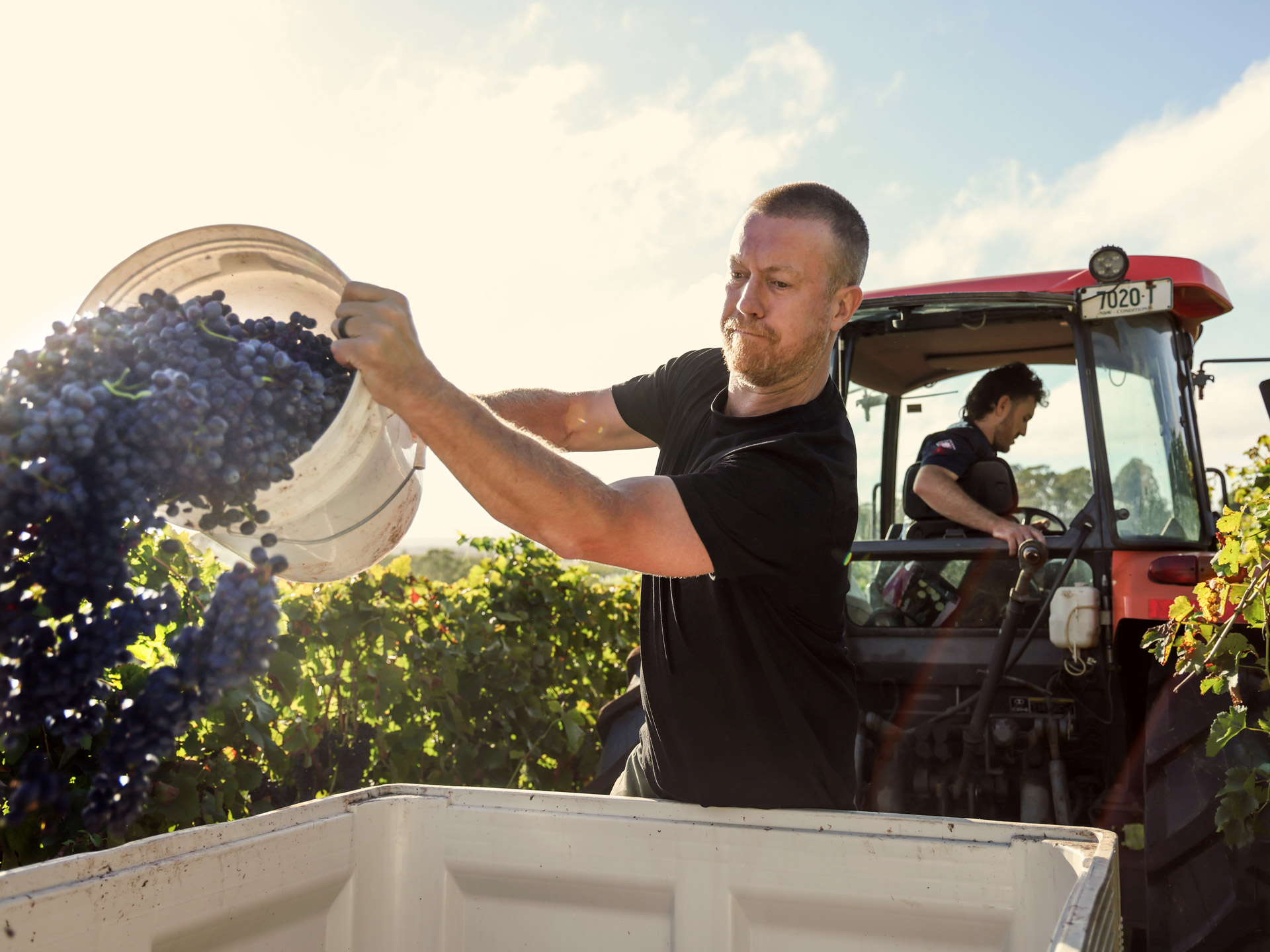 Andrew Duff - Young Gun of Wine