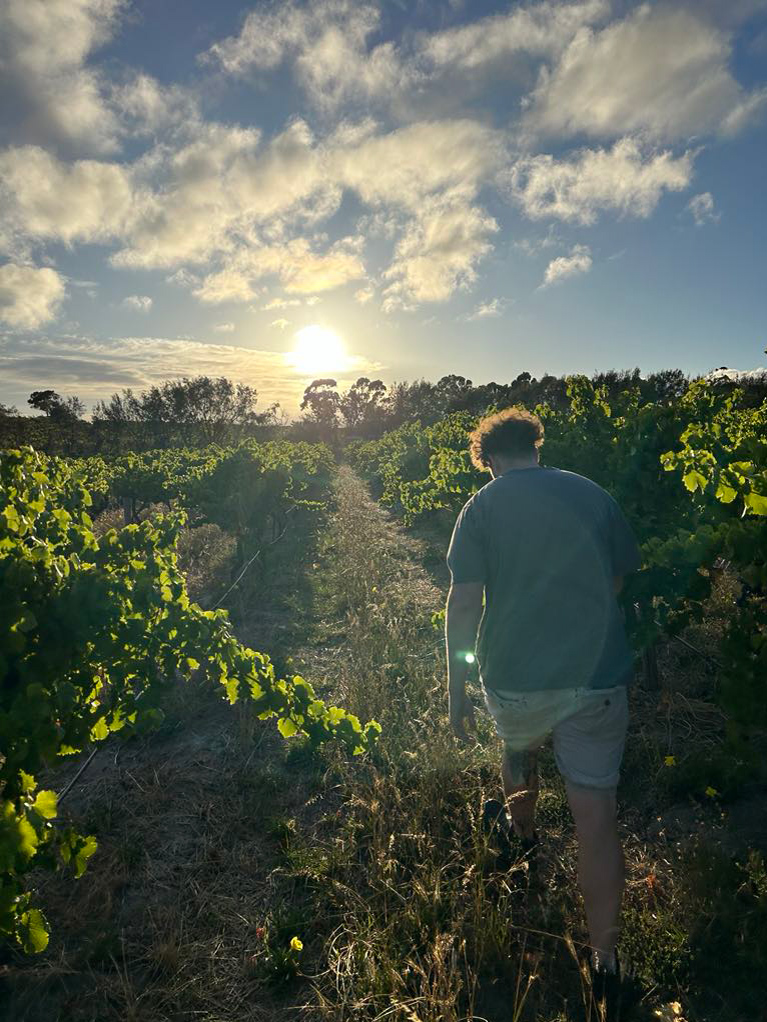 Ansel Ashby - Young Gun of Wine