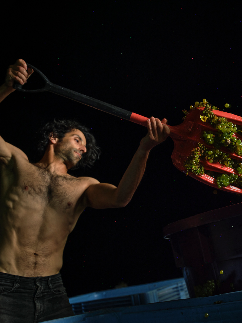 Mitchell Sokolin - Young Gun of Wine