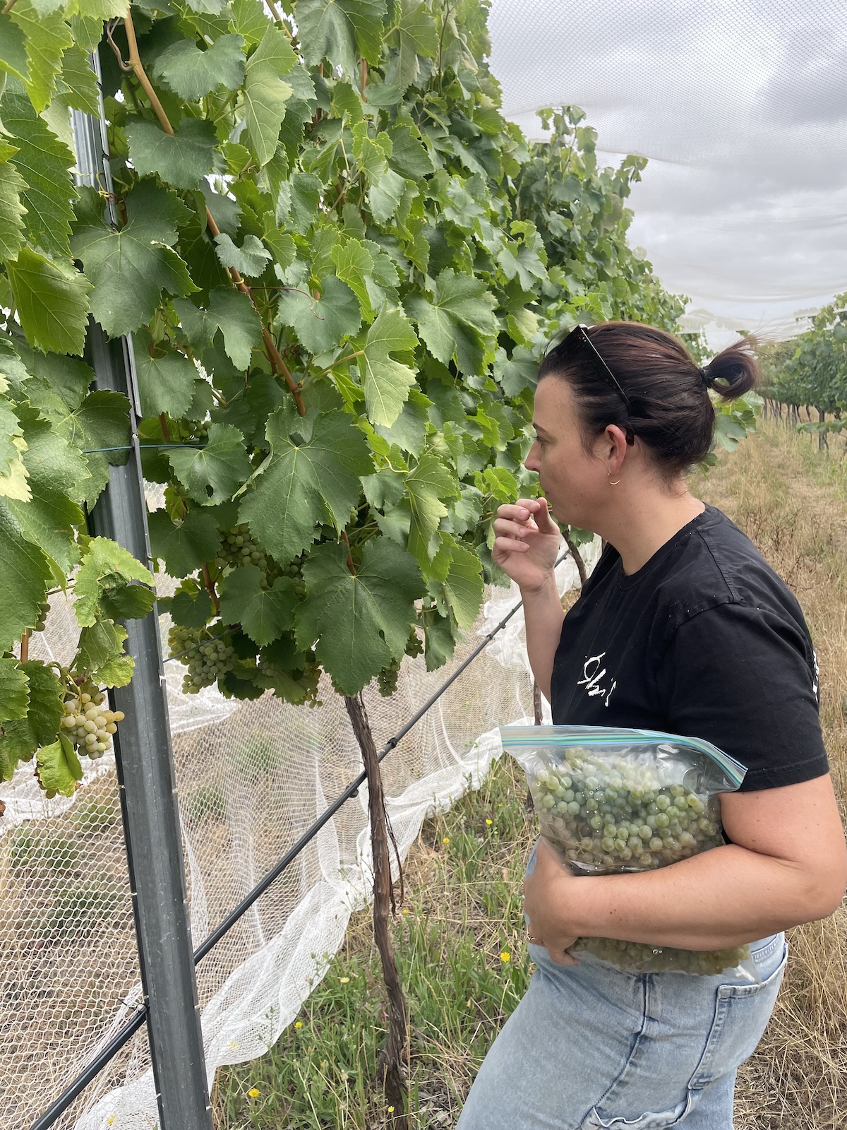 Australia’s Best Albariño - Young Gun of Wine