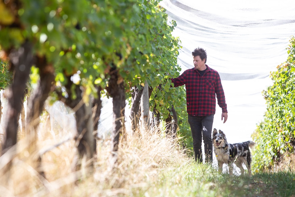 Australia’s Best Gamay - Young Gun of Wine